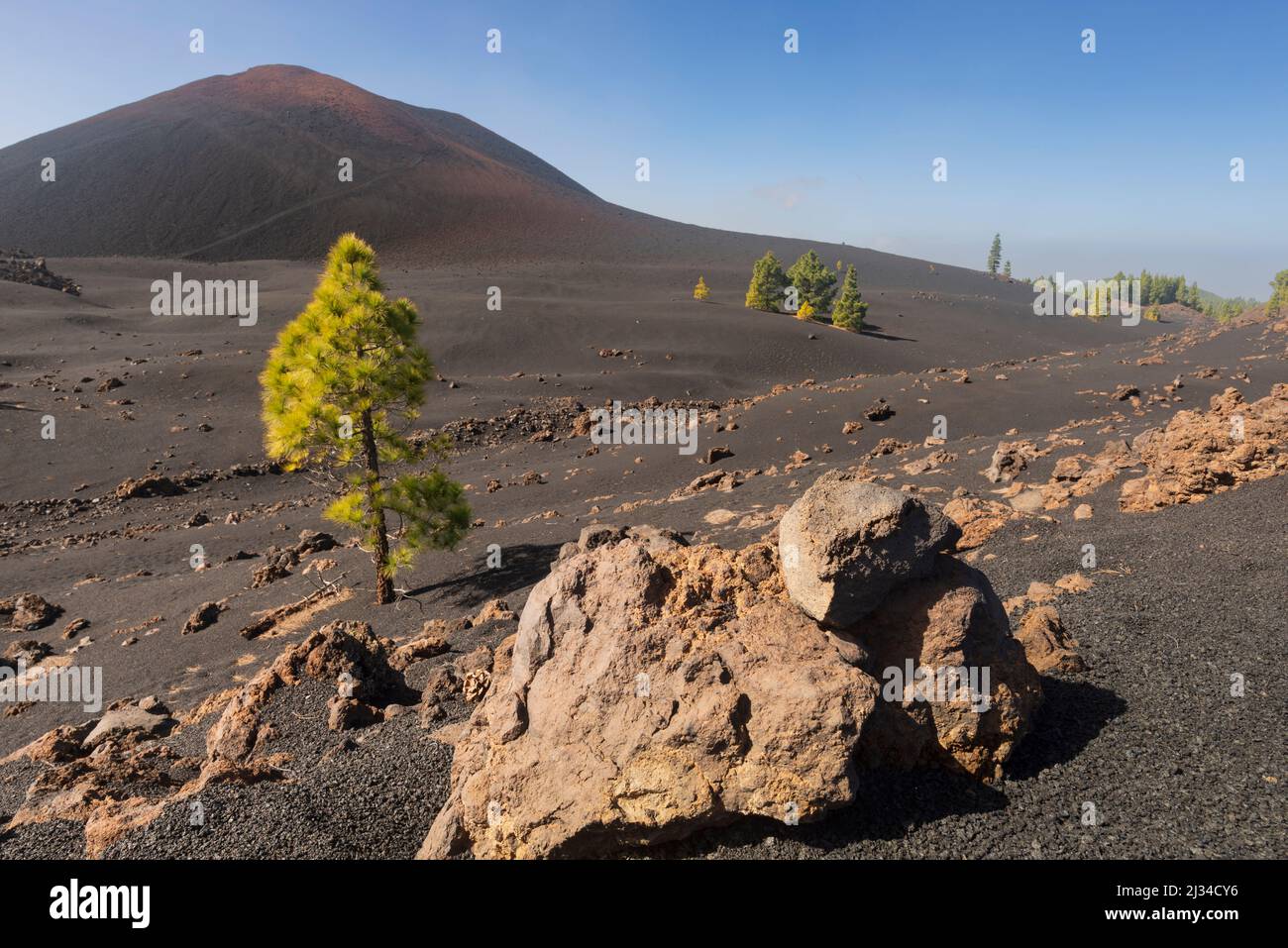 Chinyero Volcano, Arena Negras Zone, Teide National Park, Tenerife ...