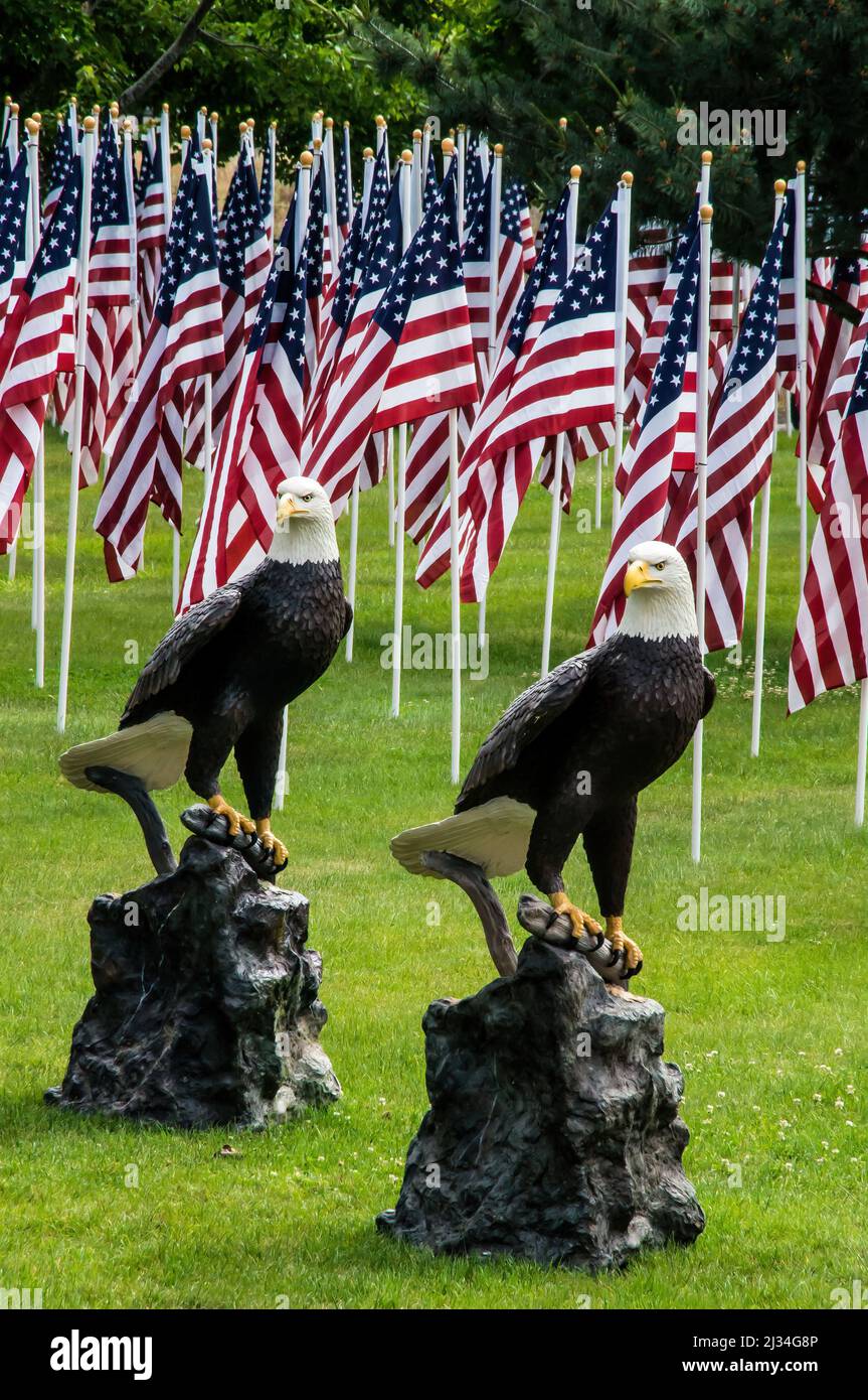 A beautiful shot of American flags on display in a local cemetery ...