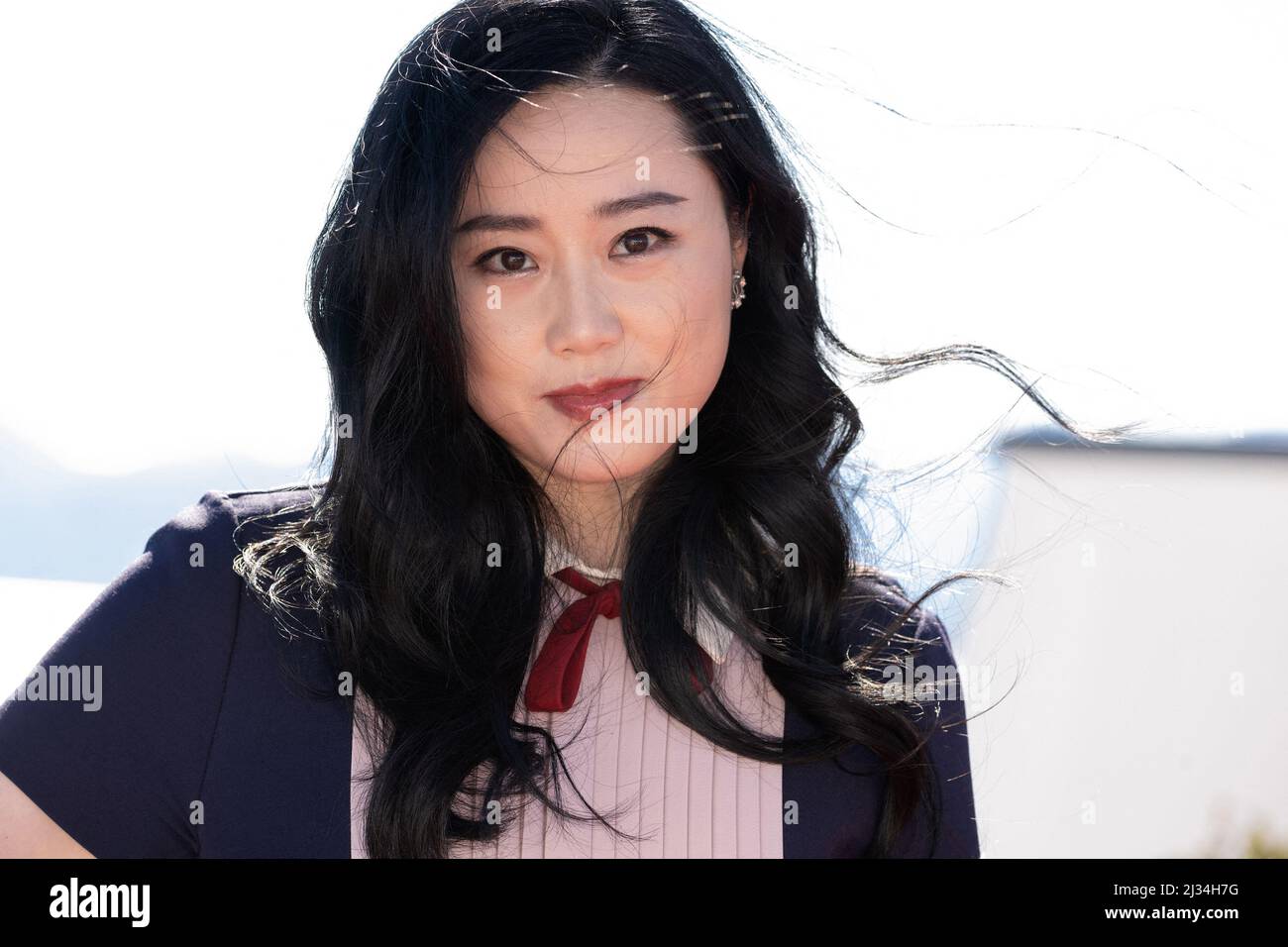 Night cat express hi-res stock photography and images - Alamy