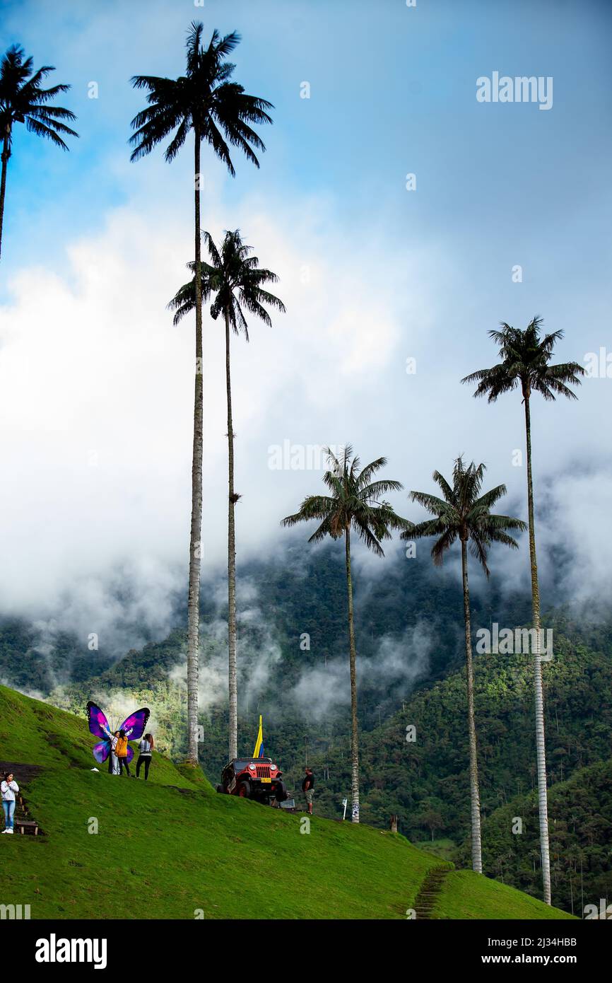 SALENTO, COLOMBIA - JULY 2021. The beautiful Cocora Valley located in ...