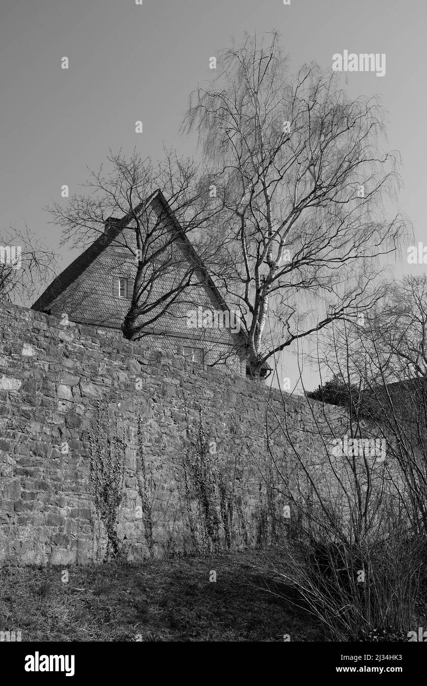 An aged house behind a wall and dry trees Stock Photo - Alamy