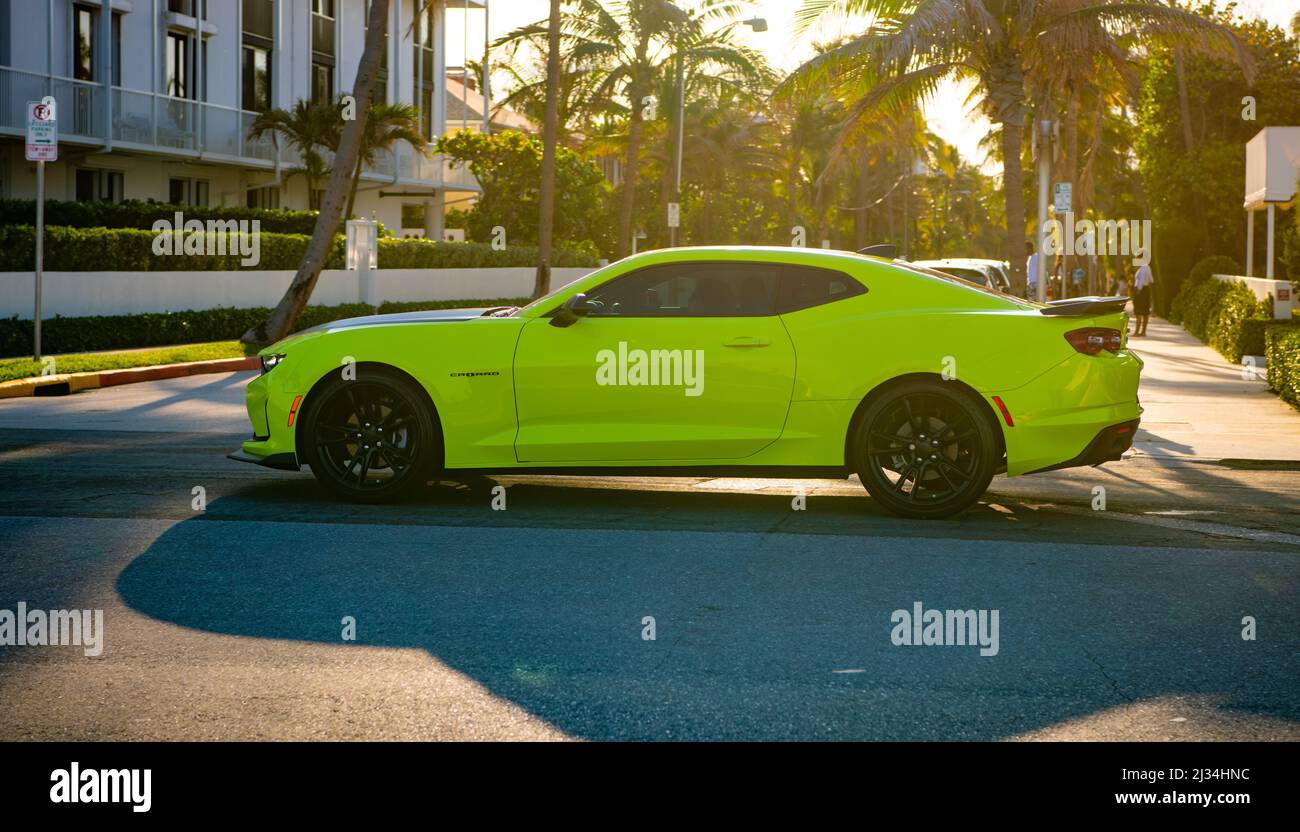 Palm Beach, Florida USA - March 22, 2021: Chevrolet Camaro car in palm ...