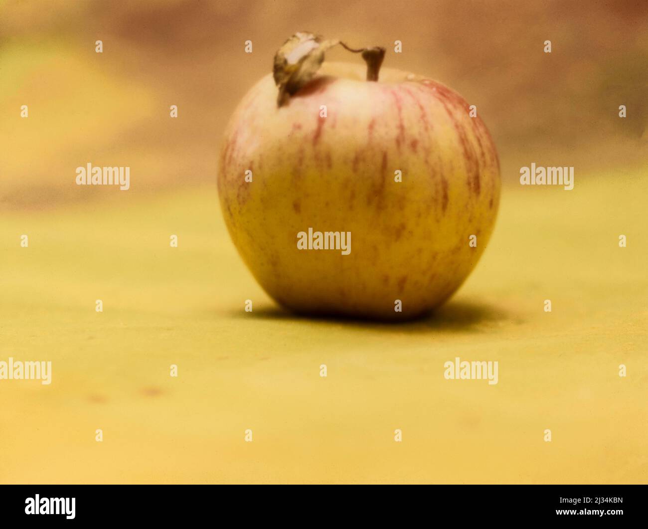 Fresh single apple still-life, food portrait Stock Photo - Alamy