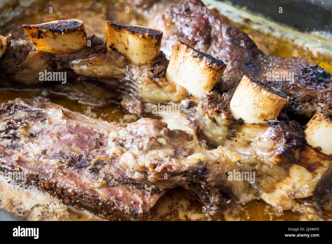 Closeup image of a roast beef rib showing browned meat, fat and bones ...