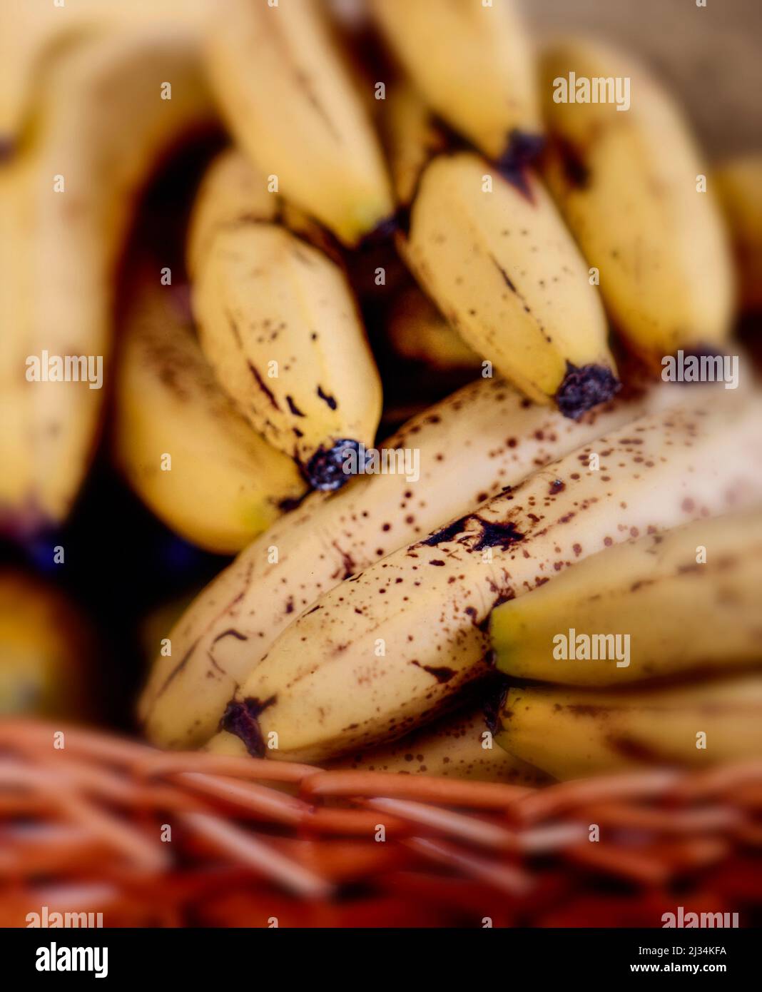 Banana plants anatomy hi-res stock photography and images - Alamy