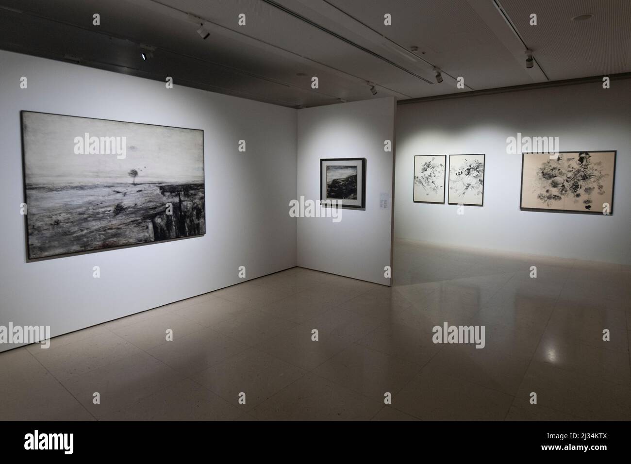 Vladimir Veličković exhibition. Museum of Contemporary Art Belgrade, Serbia Stock Photo - Alamy