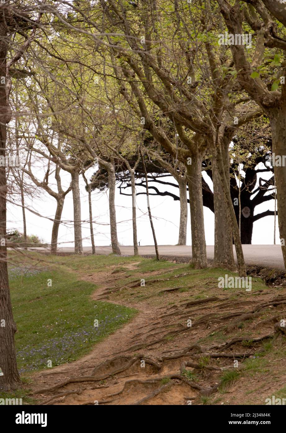 Peninsulas charm hi-res stock photography and images - Alamy