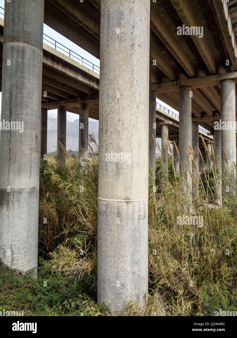 Semi-abstract architectural detail of road bridge columns surrounded by ...