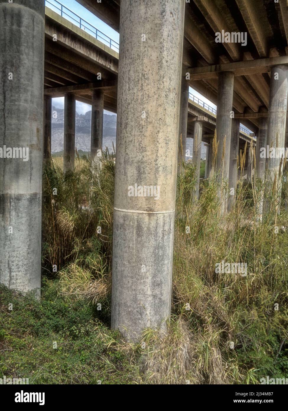 Semi-abstract architectural detail of road bridge columns surrounded by ...