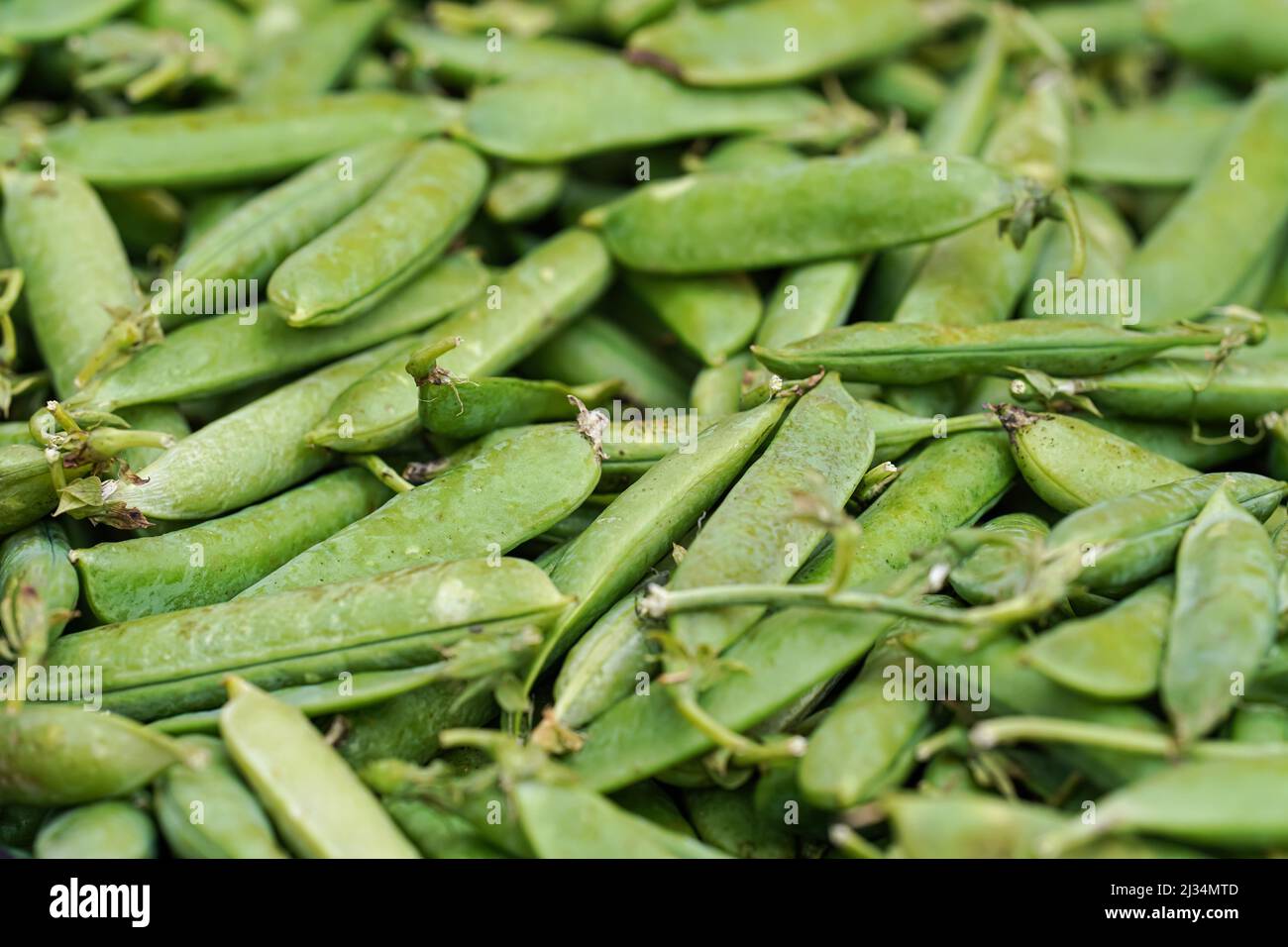 Fresh peas farm market hi-res stock photography and images - Alamy