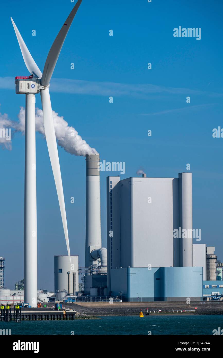 Uniper power plant Maasvlakte , coal-fired power plant, in the seaport ...