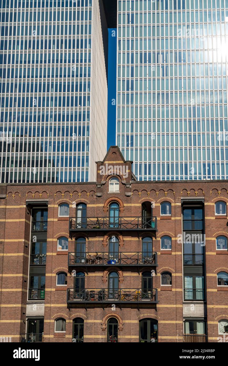 The skyline of Rotterdam, on the Nieuwe Maas, skyscrapers at the "Kop ...