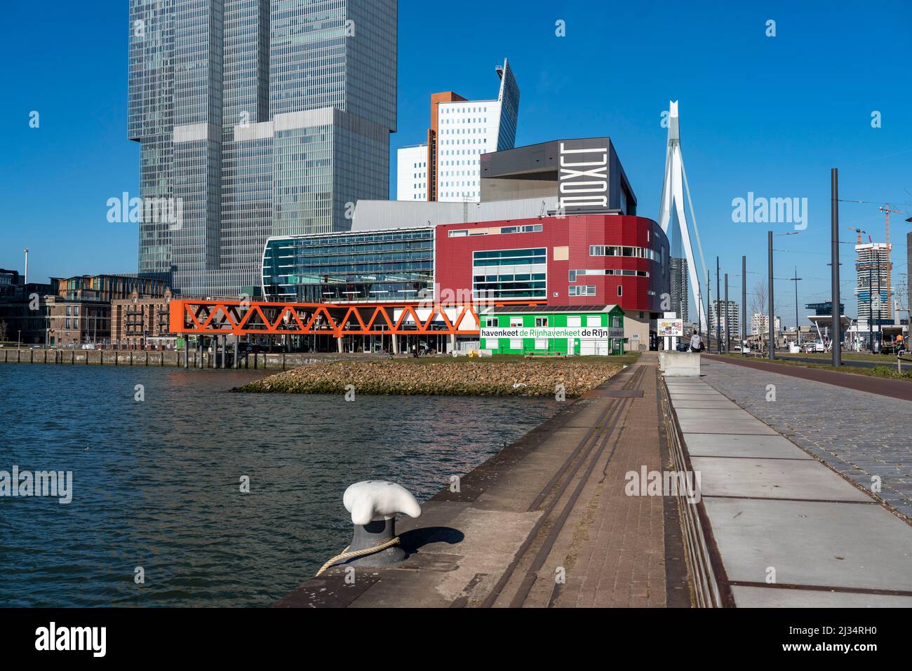 Rotterdam skyline, on the Nieuwe Maas, river, skyscrapers on the "Kop ...