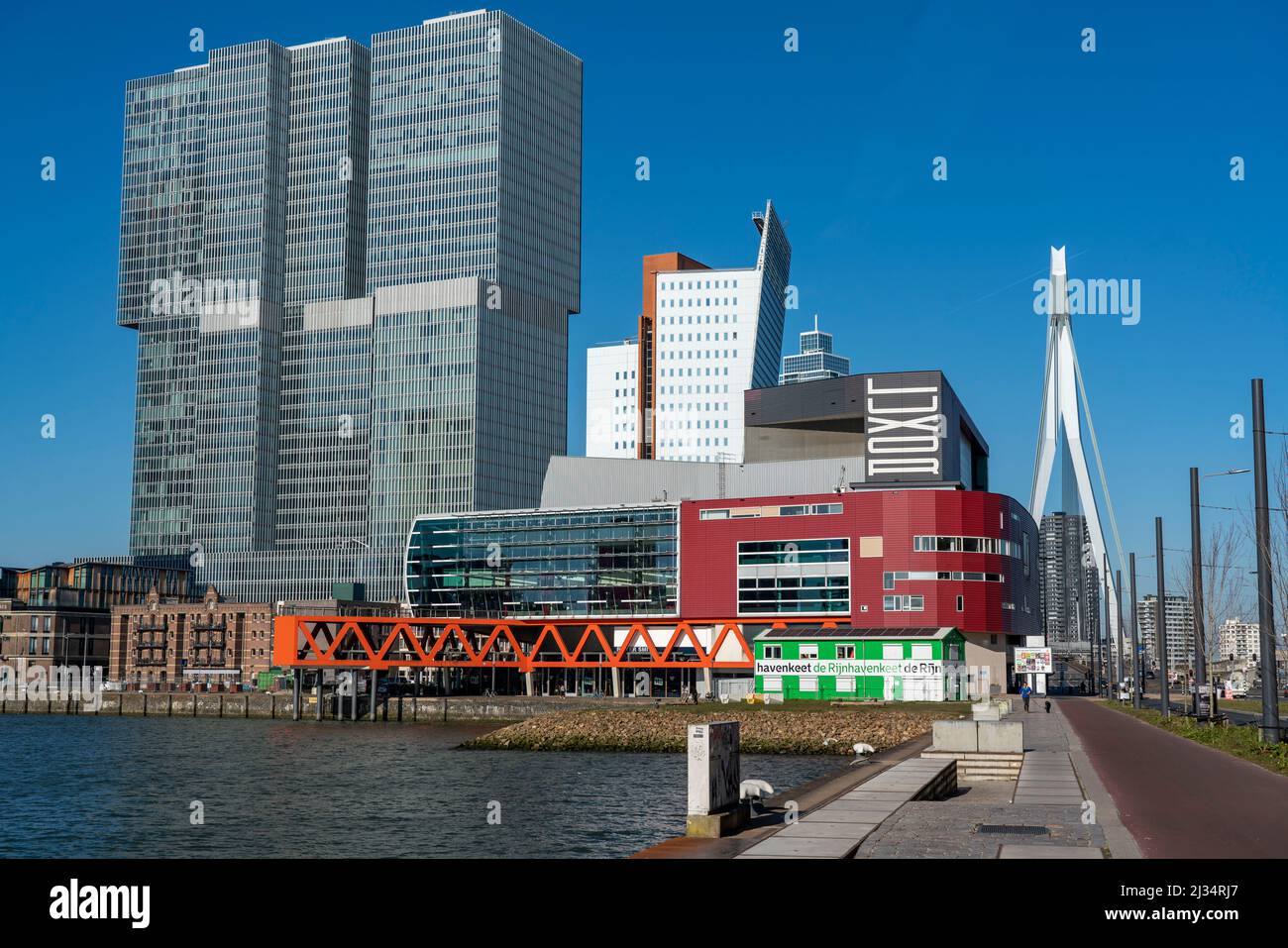 Rotterdam skyline, on the Nieuwe Maas, river, skyscrapers on the "Kop ...