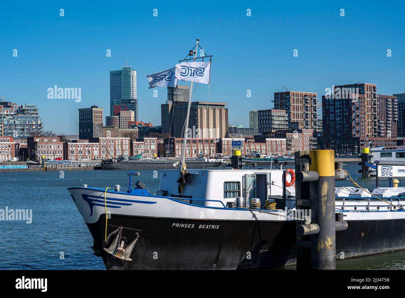 Downtown, skyline at Maashaven, Rotterdam, Netherlands Stock Photo - Alamy
