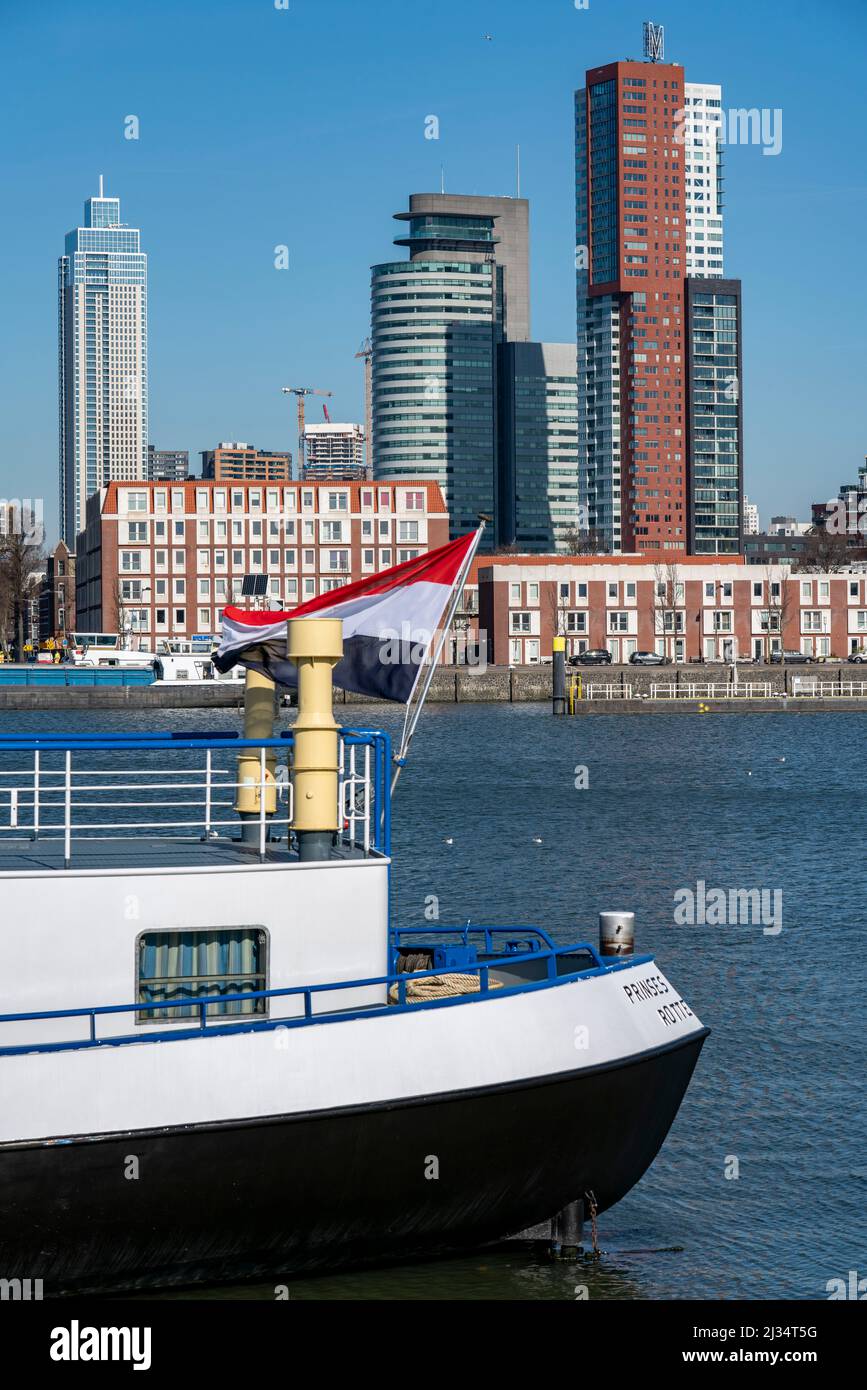 Downtown, skyline at Maashaven, Rotterdam, Netherlands Stock Photo - Alamy