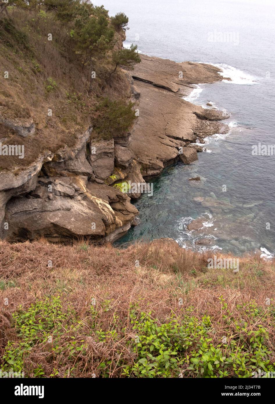 Magdalena Peninsula Santander, Spain Atlantic coast scenery Stock Photo ...