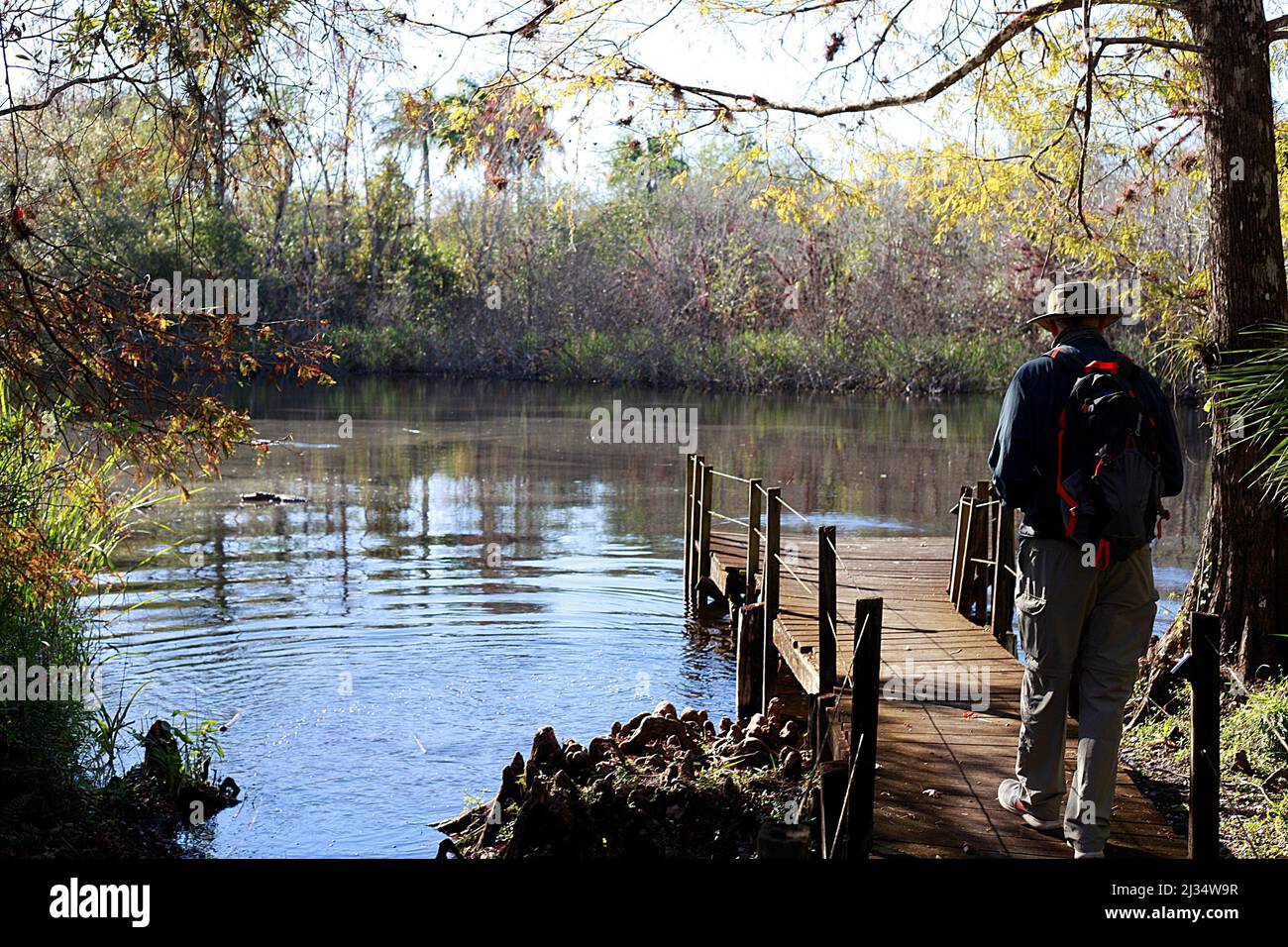 Fakahatchee strand preserve state park hi-res stock photography and ...