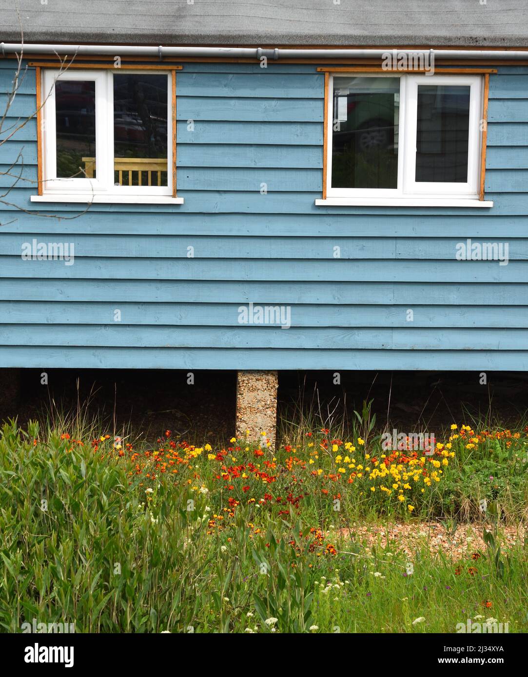 Blue cabin style dwelling with colourful flowers in bloom Stock Photo ...