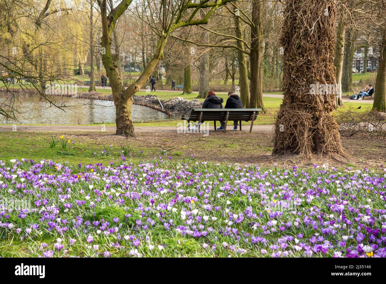 people at Oosterpark in Amsterdam, Holland Stock Photo - Alamy
