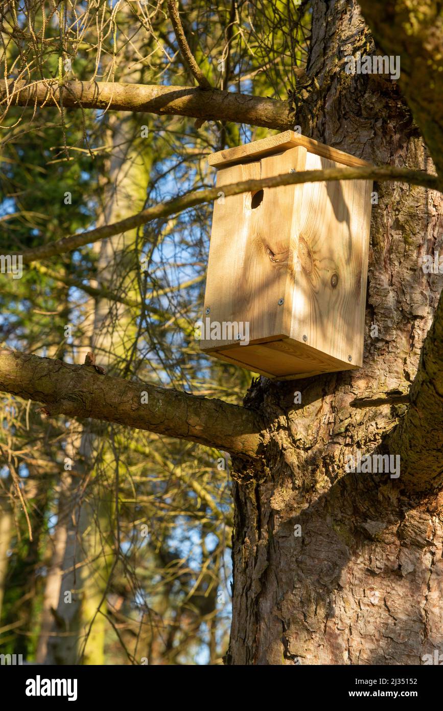 wooden bird nest at against tree trunk Stock Photo - Alamy