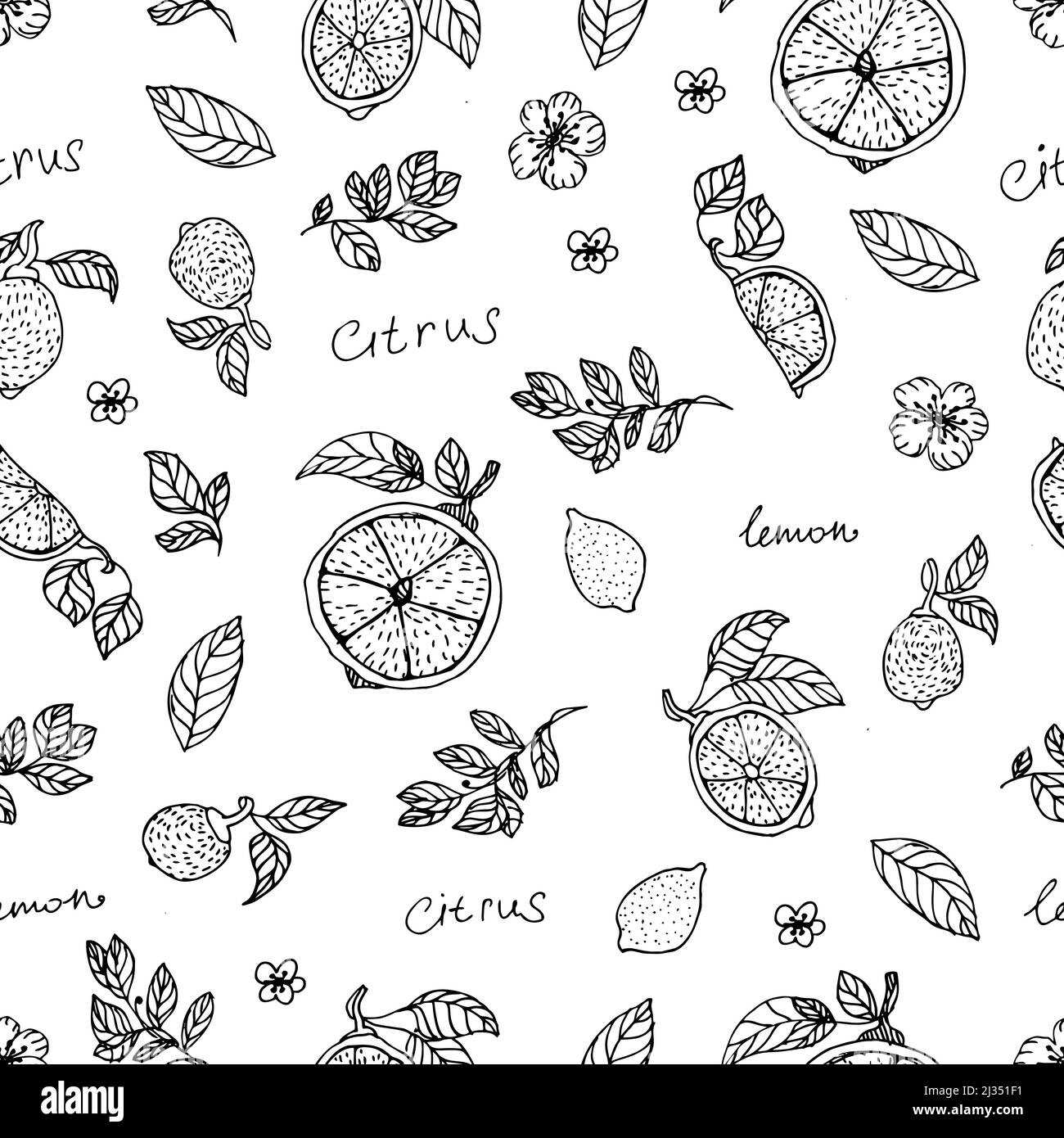Vector seamless pattern with lemon, leaves and flower. Citrus line ...