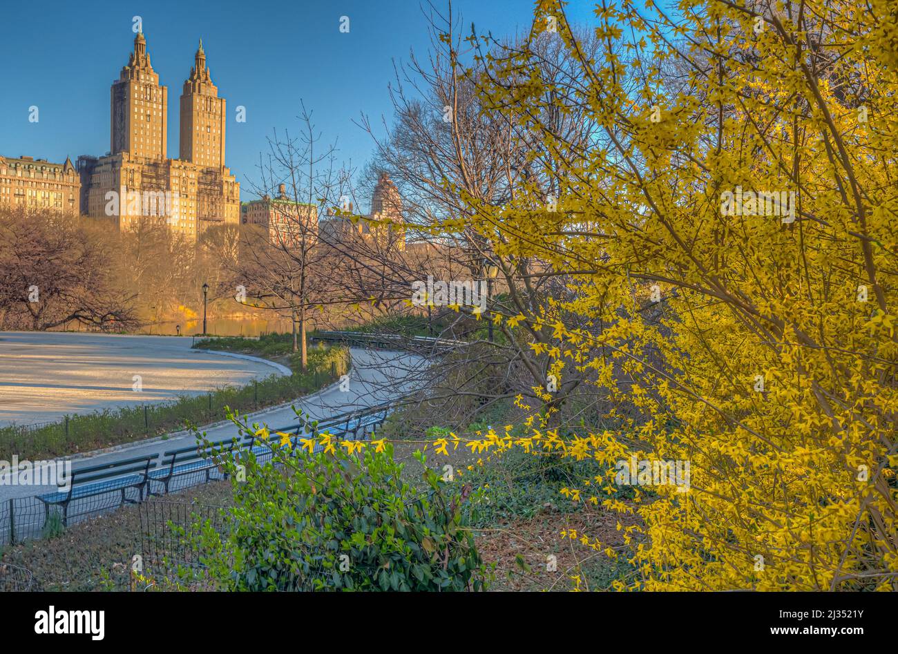 Spring in Central Park, New York City Stock Photo - Alamy