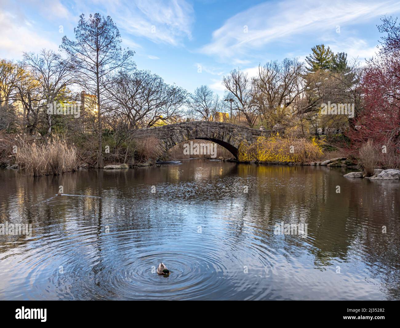 Gapstow Bridge in Central Park Stock Photo - Alamy