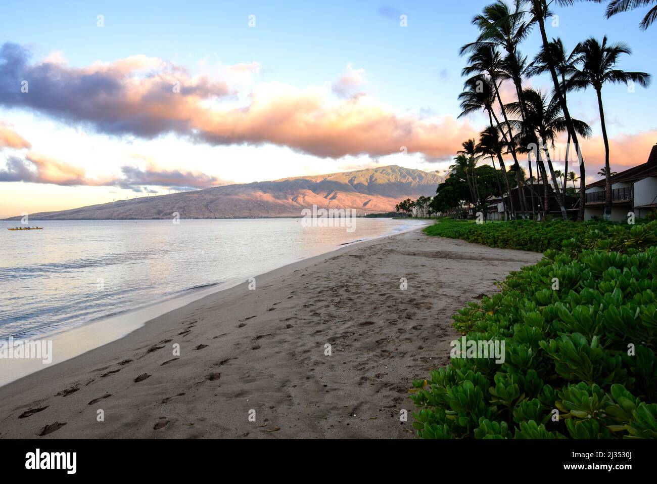 Morning sun in hawaii Stock Photo - Alamy