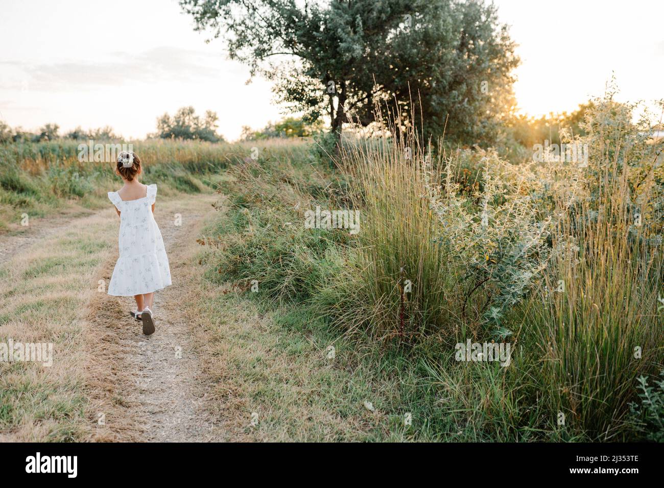 Happy little girl in the field at summer Stock Photo - Alamy