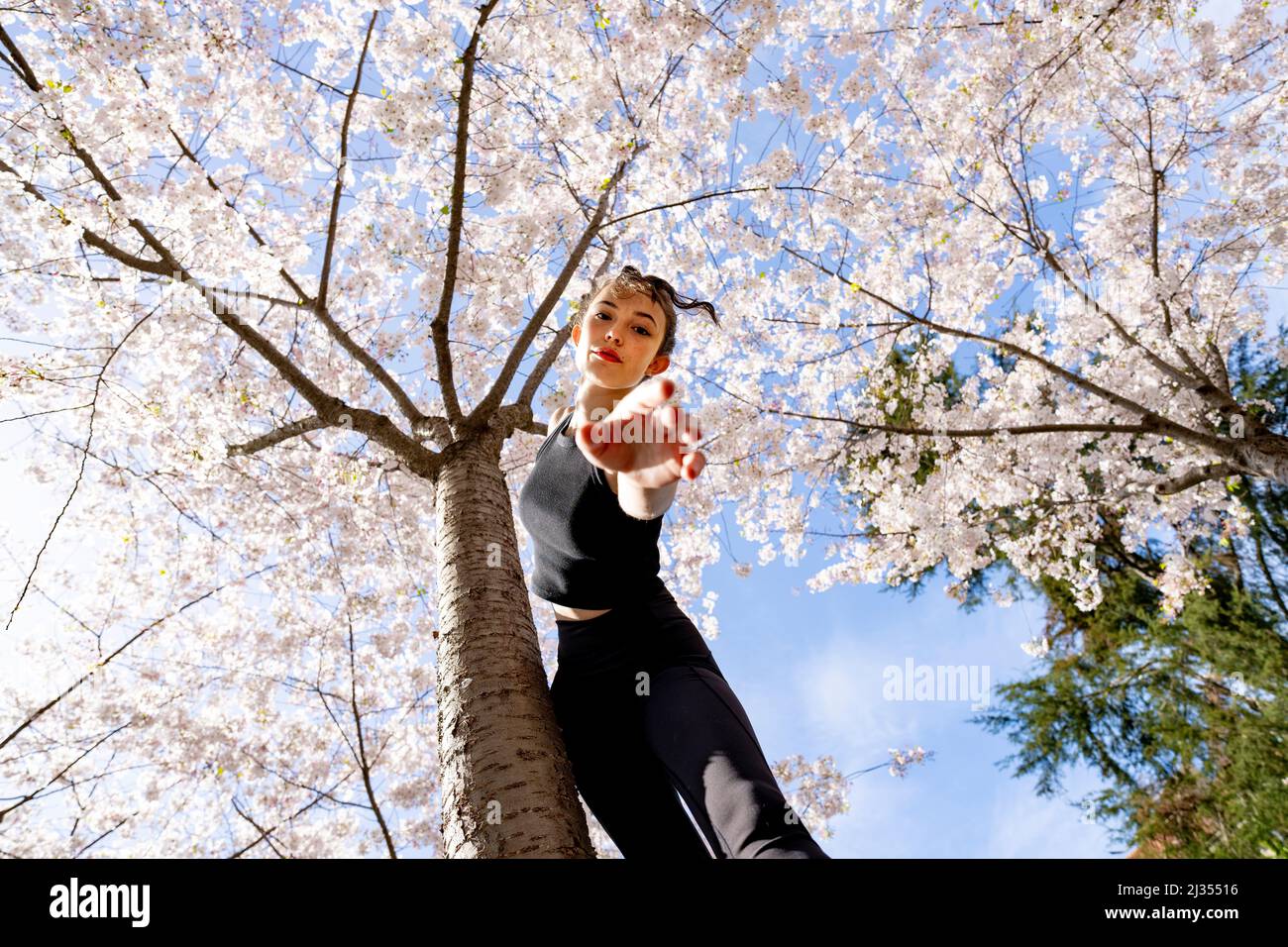 Berkeley california trees hi-res stock photography and images - Alamy