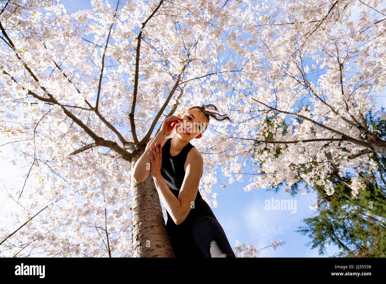 Berkeley california trees hi-res stock photography and images - Alamy