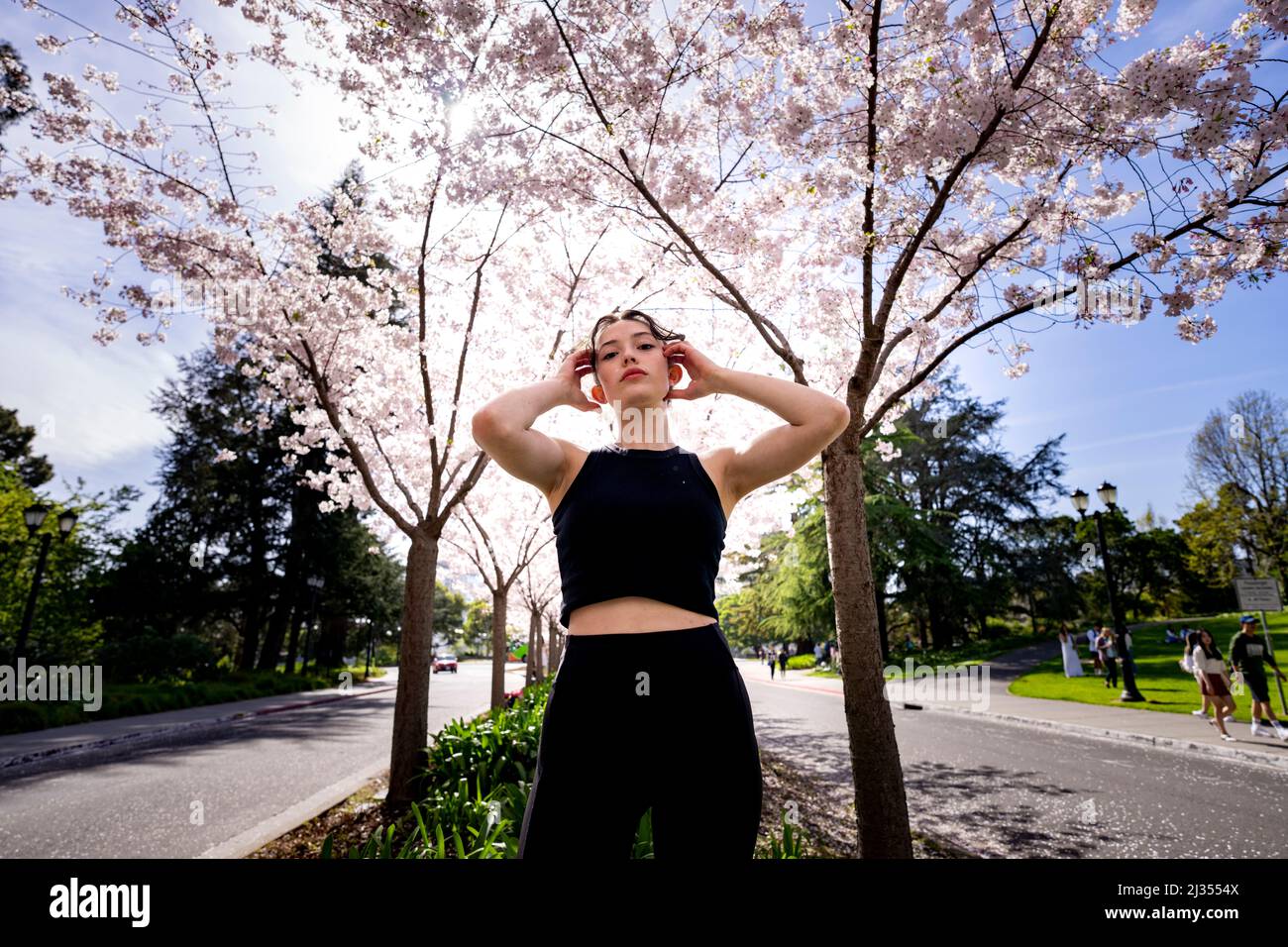 Berkeley california trees hi-res stock photography and images - Alamy