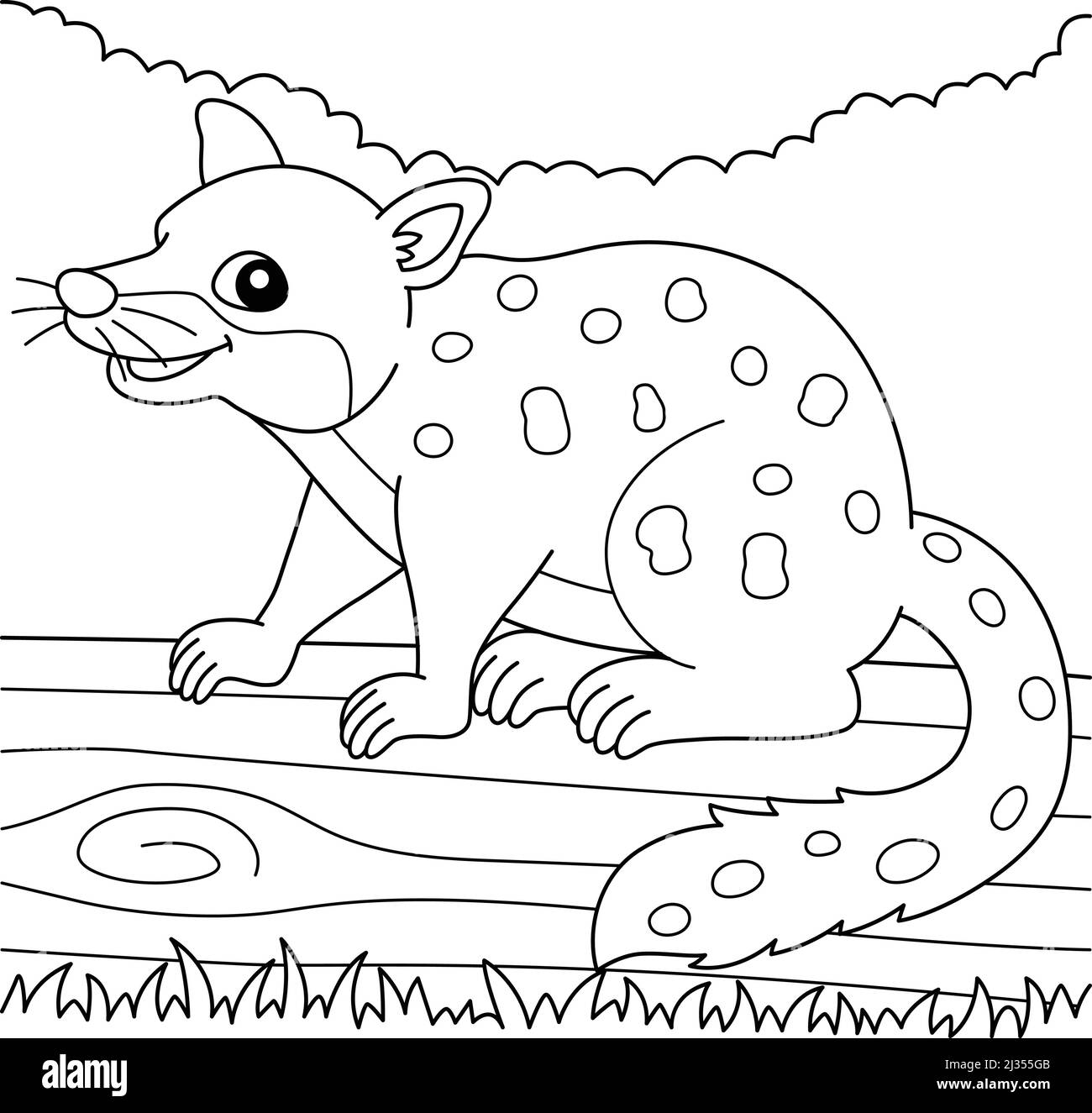 Tiger Quoll Animal Coloring Page for Kids Stock Vector Image & Art - Alamy