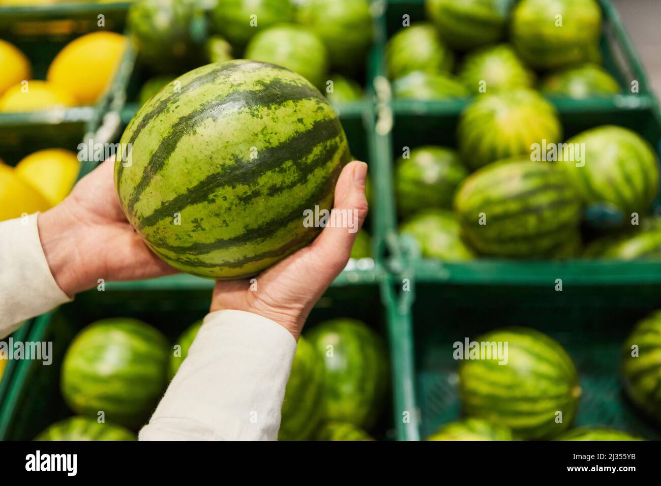 Customer holding a watermelon in hands at the fruit and vegetable stand ...