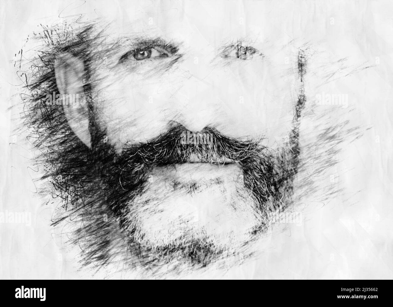 portrait of a handsome man with beard in pencil drawing style Stock ...