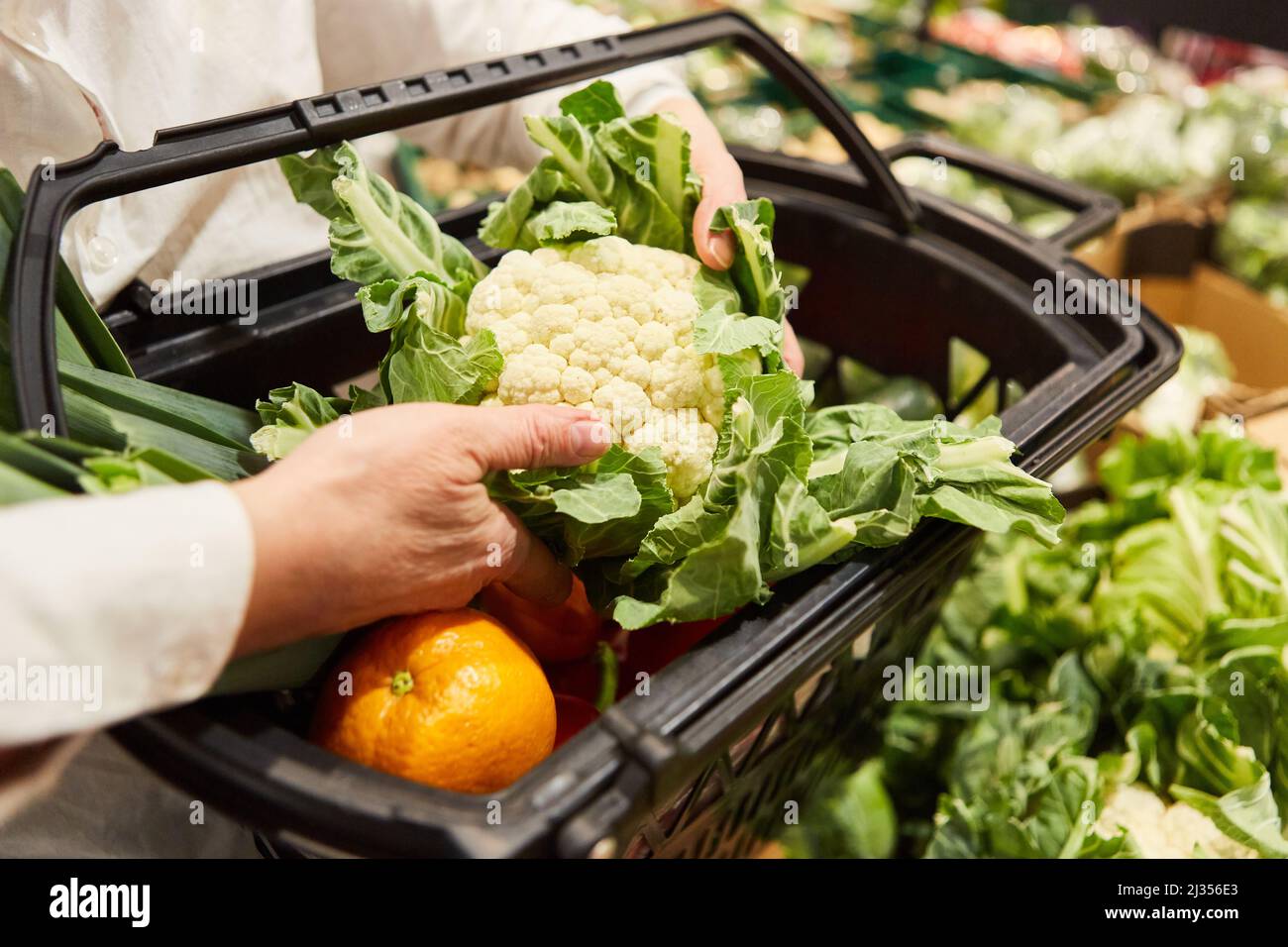 Hand of a customer packs cauliflower into the shopping basket at the ...