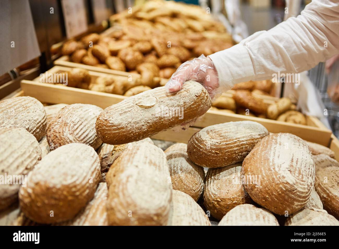Customer holding a freshly baked bread while shopping in the bakery in ...