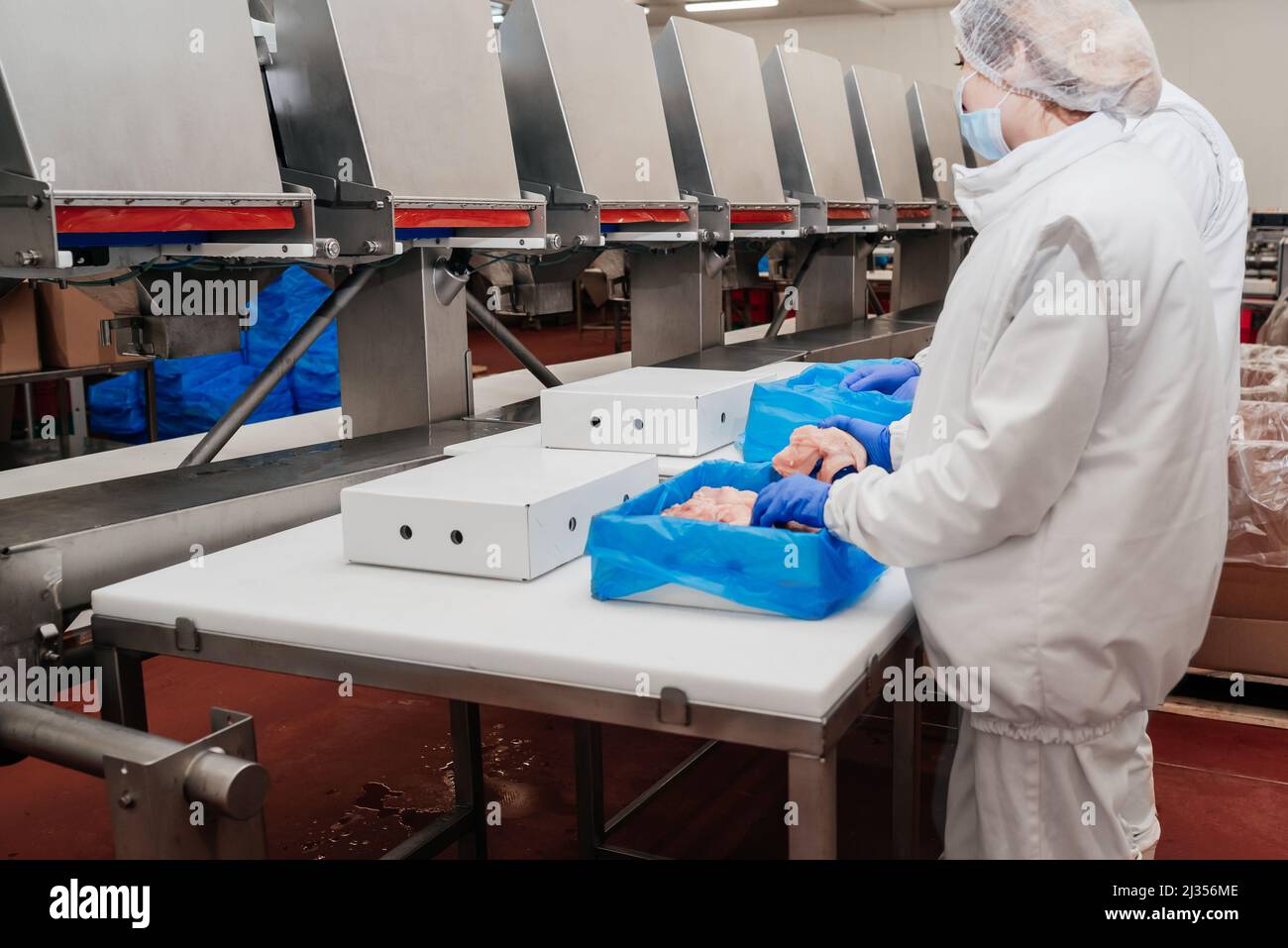 Line for the production of semi-finished meat products.Meat processing ...