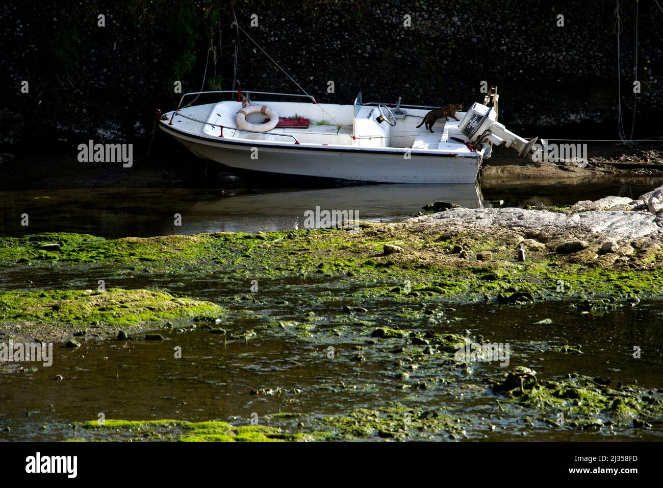 Bradyseism hi-res stock photography and images - Alamy