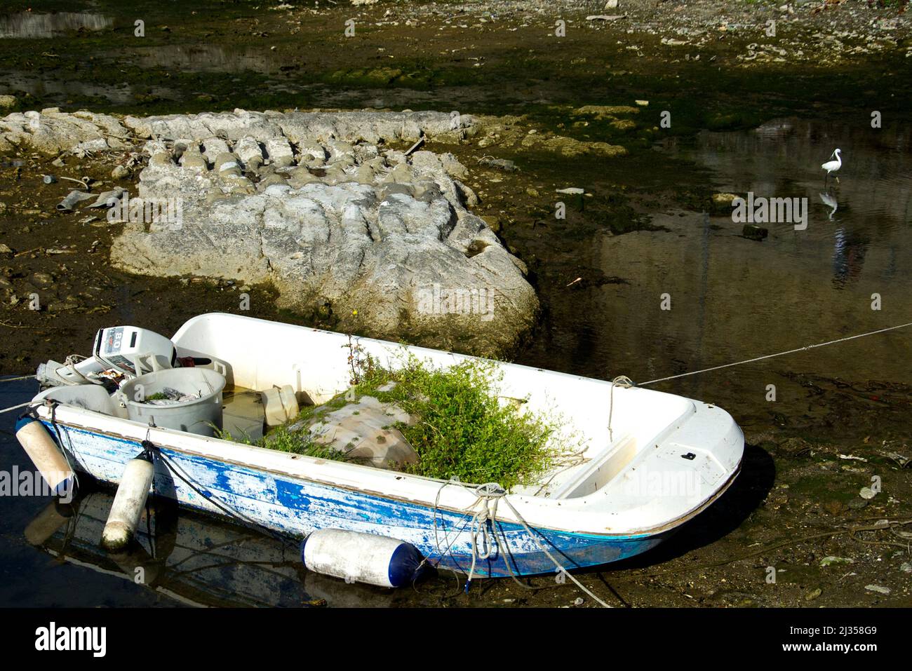 Bradyseism hi-res stock photography and images - Alamy