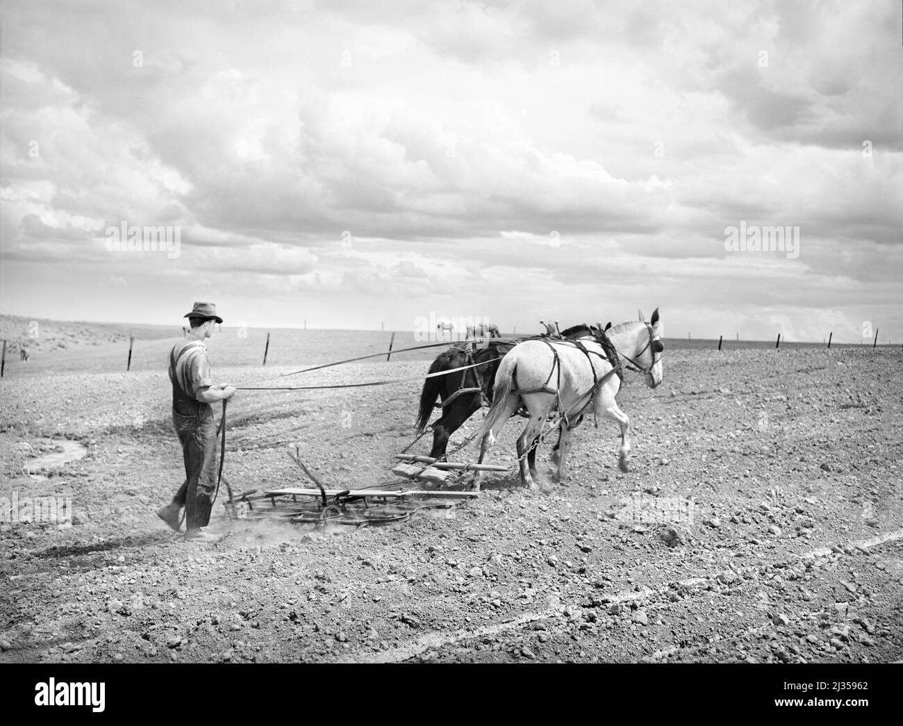Man plowing black and white hi-res stock photography and images - Alamy