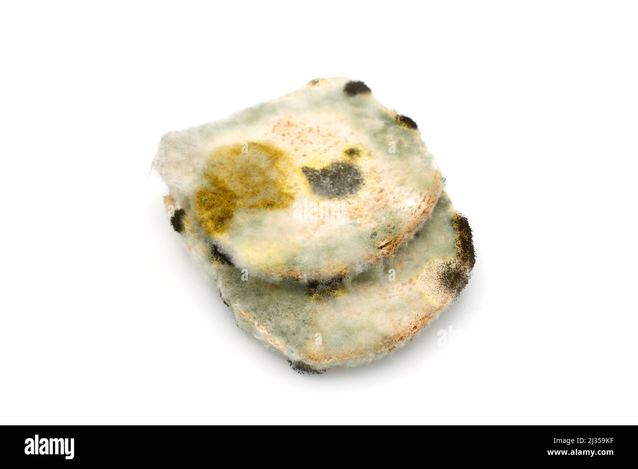 A couple of moldy bread slices isolated on a white background Stock ...