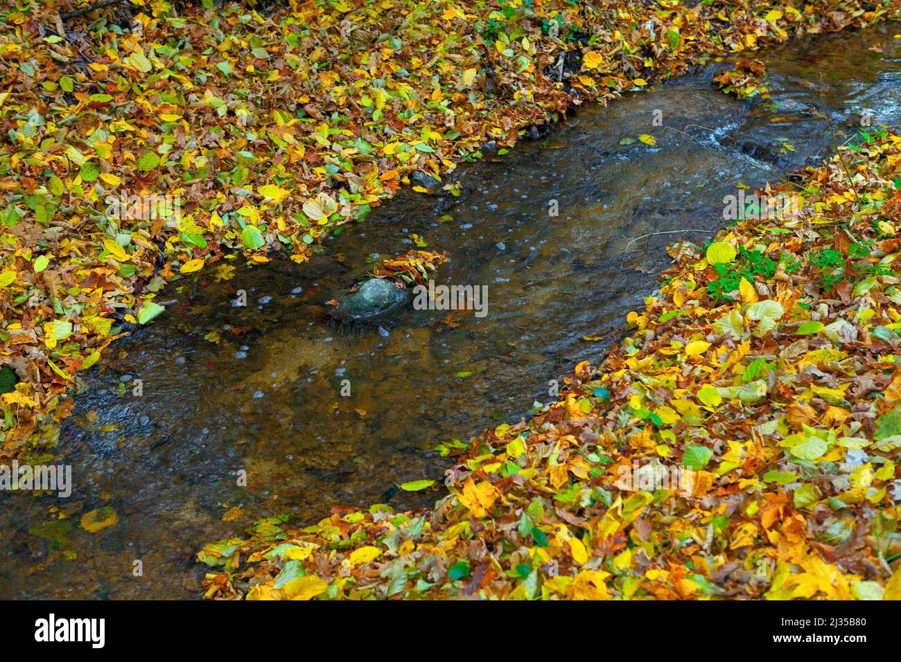 Water stream and yellow leaves . Autumn natural background Stock Photo ...