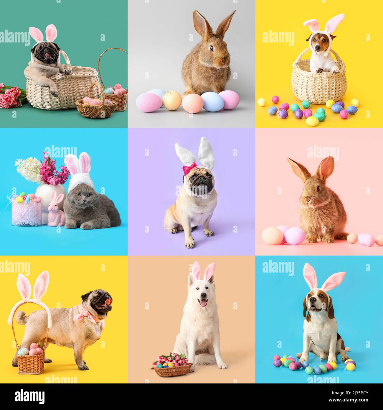 Set of different animals with Easter eggs and decor on colorful ...