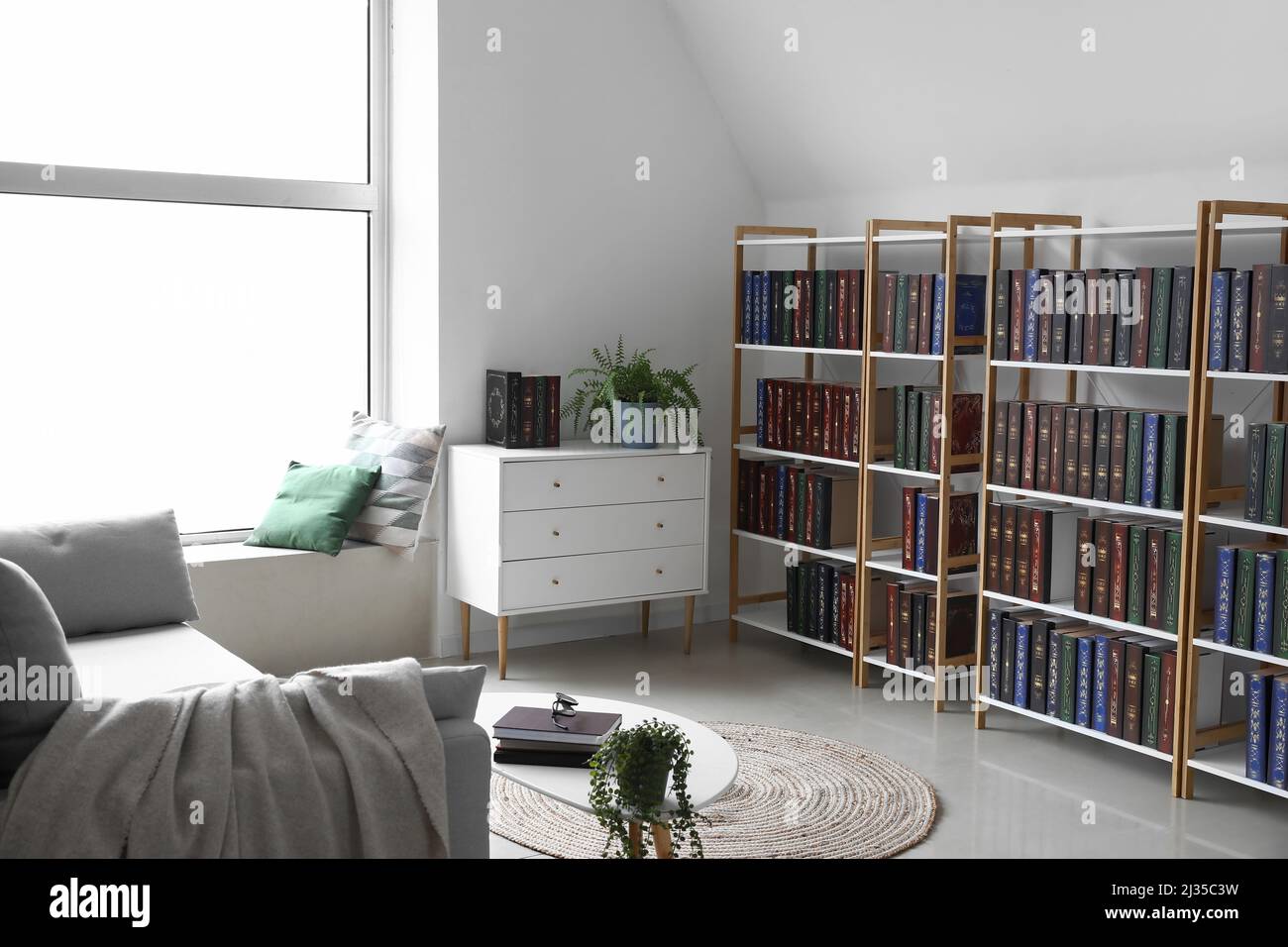 Shelf unit with books and chest of drawers in home library Stock Photo ...