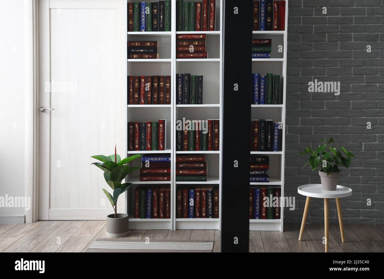 Shelf unit with books in home library Stock Photo - Alamy