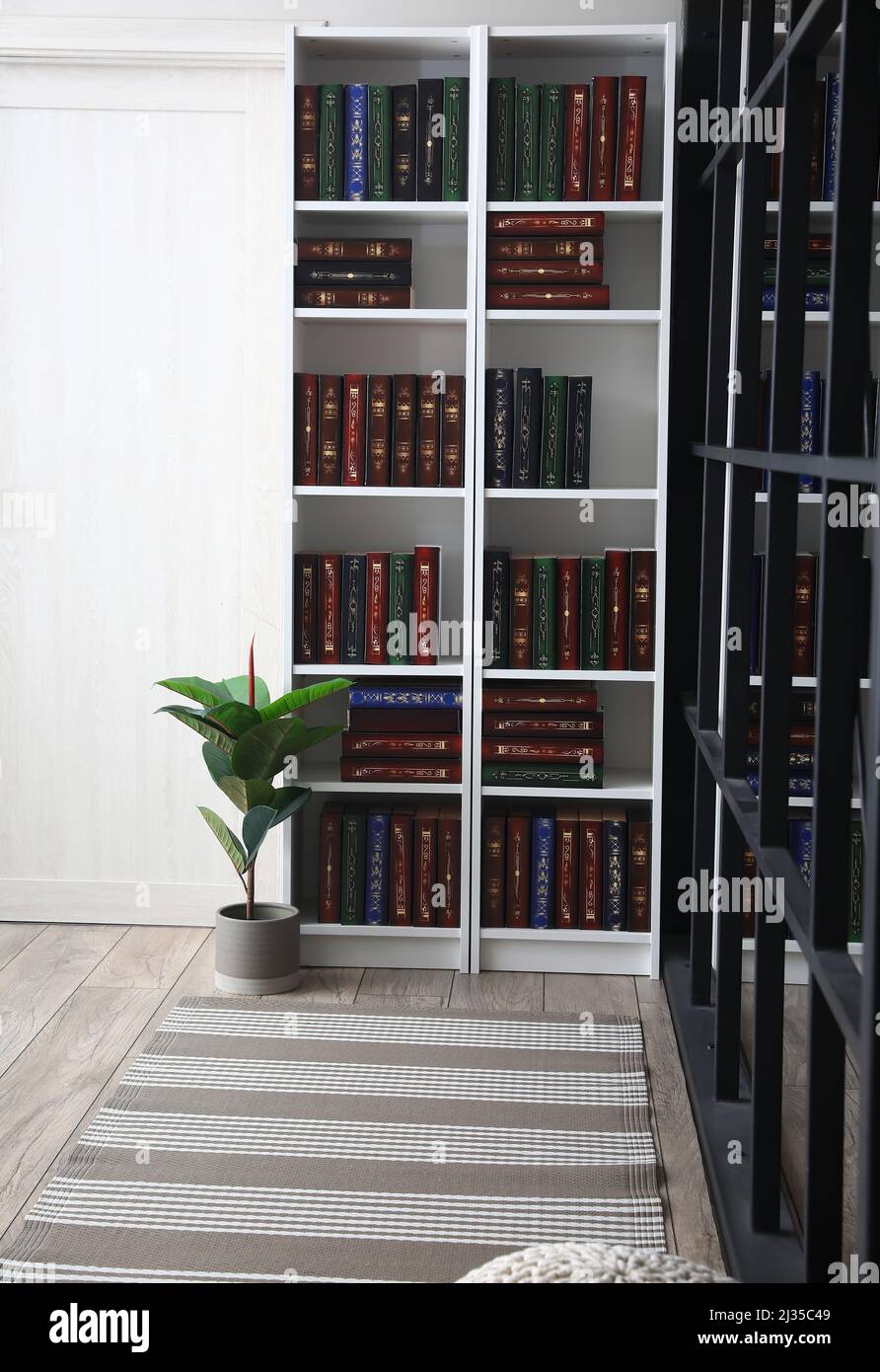 Shelf unit with books in home library Stock Photo - Alamy