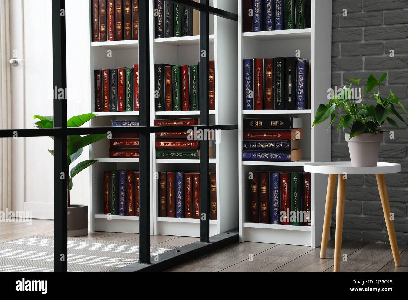 Shelf unit with books in home library Stock Photo - Alamy