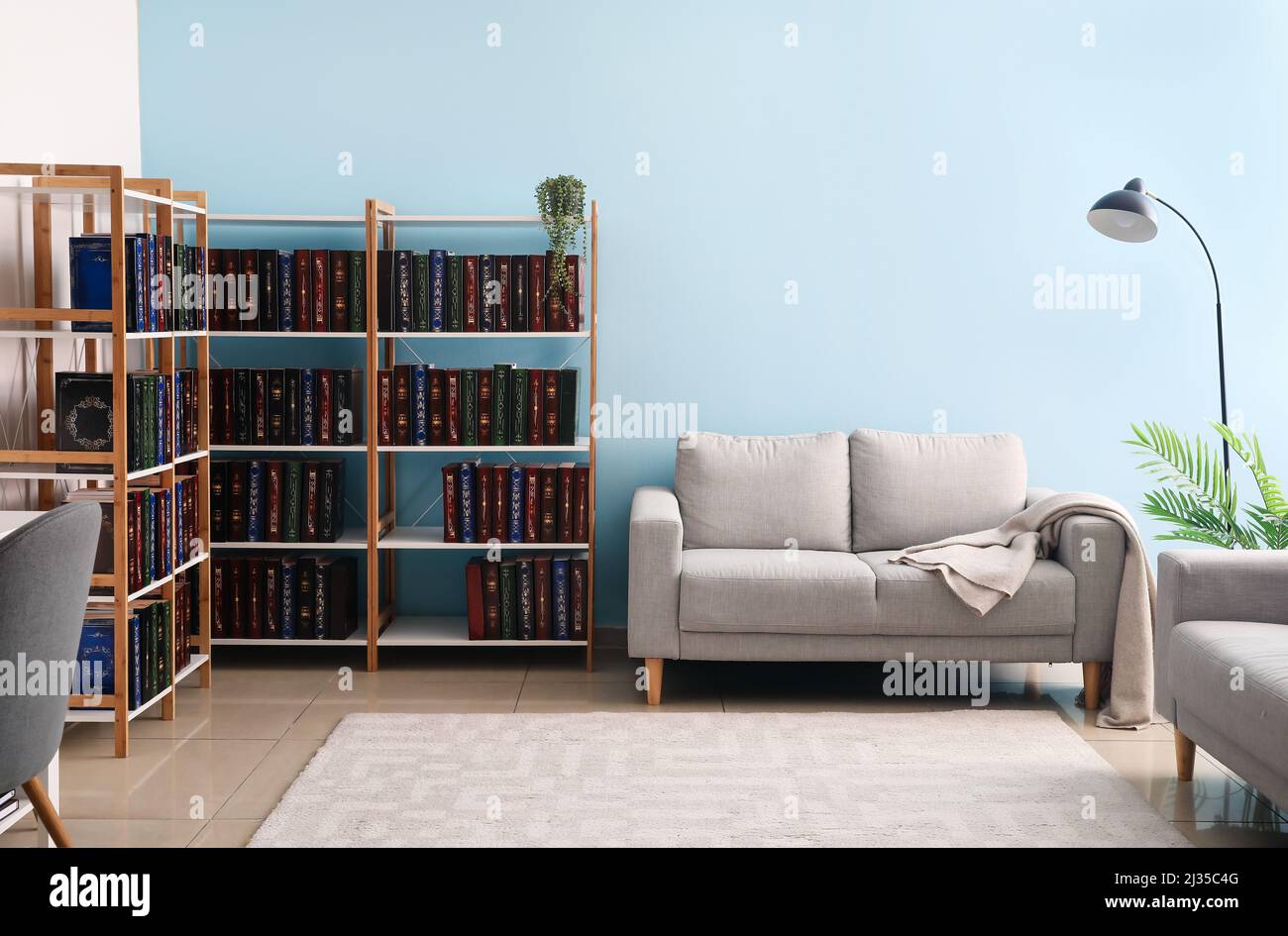 Comfortable sofa, lamp and shelf unit with books in home library Stock ...